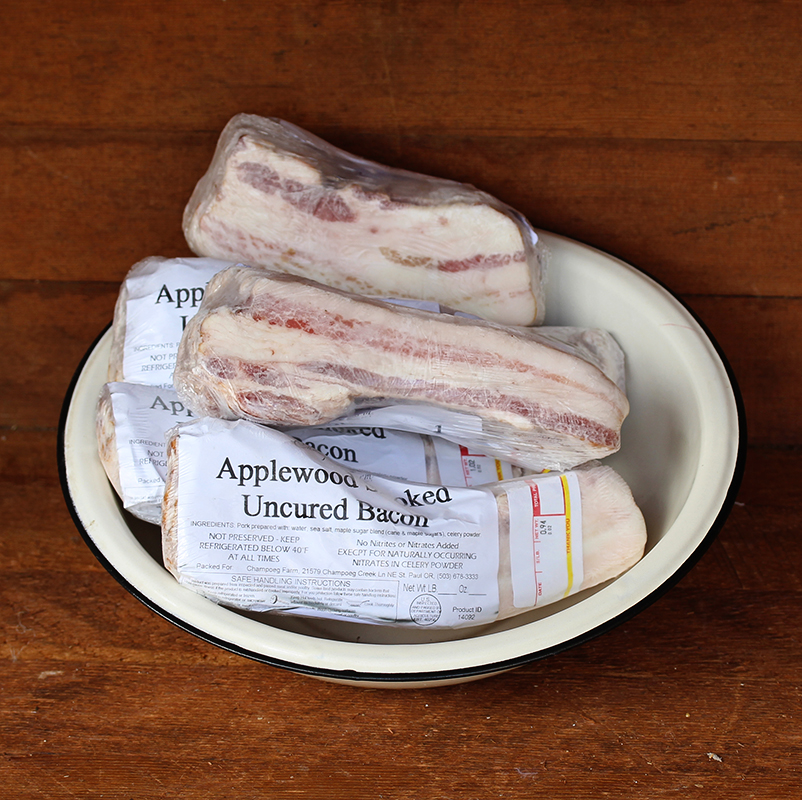 Bacon Splatter Box